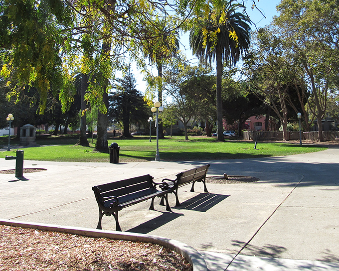 City parks provide peaceful retreats throughout Vallejo. This bench awaits your morning coffee, favorite book, and California sunshine.