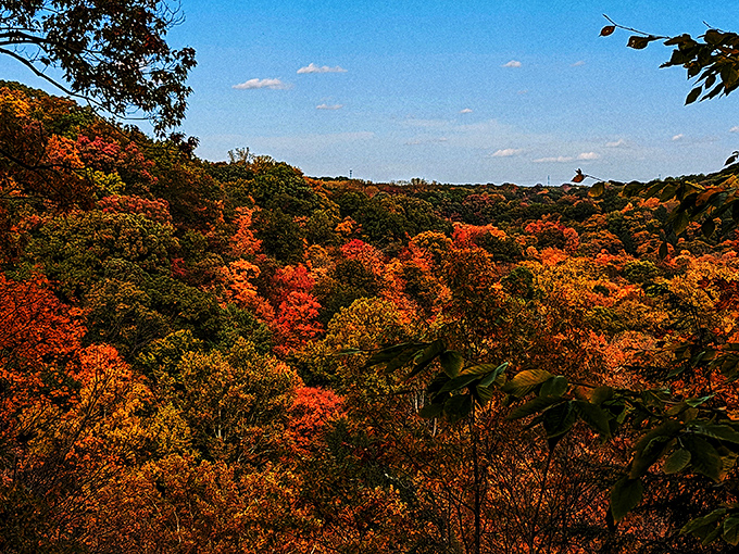 Nature's color palette gone wild: Fall foliage creates a patchwork quilt of crimson and gold across the rolling Ohio landscape.