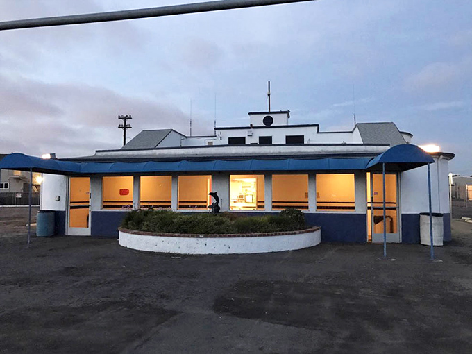 The market's concession stand serves as command central, where morning coffee fuels the early bargain hunters' quests for undiscovered gems.