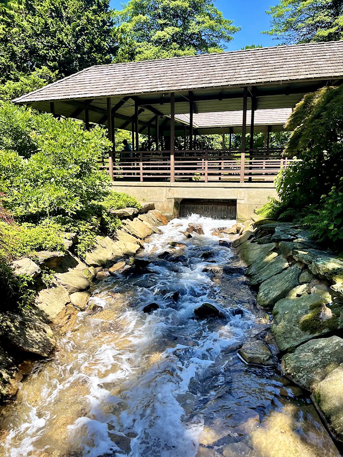 Where rushing water meets architectural charm. This covered bridge creates the perfect soundtrack of bubbling streams for your garden wanderings.