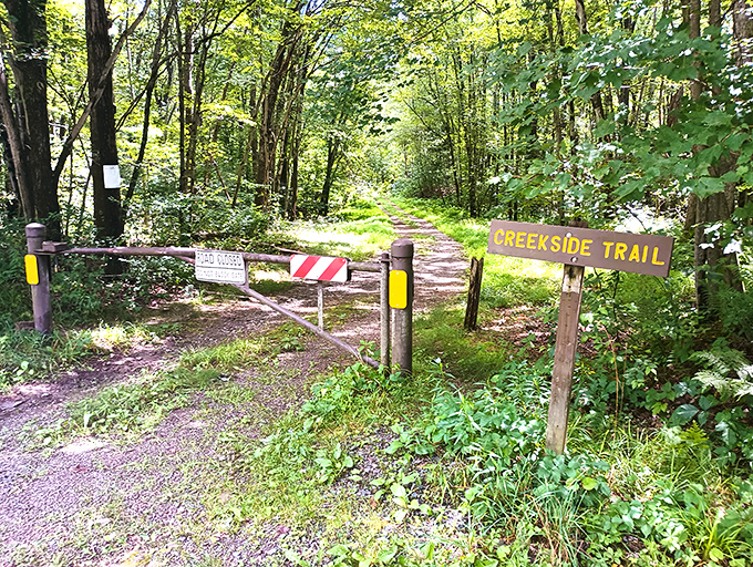 The Creekside Trail entrance promises adventures alongside Nescopeck's bubbling waterways. Nature's yellow brick road leads not to Oz, but somewhere equally magical.