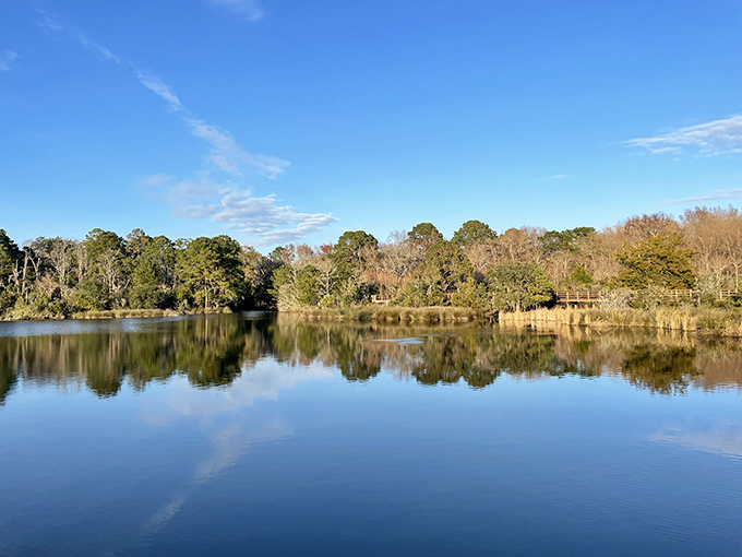 Crystal Lake's mirror-like surface perfectly reflects the surrounding landscape. Mother Nature showing off her photographic skills with a composition worthy of any gallery wall.