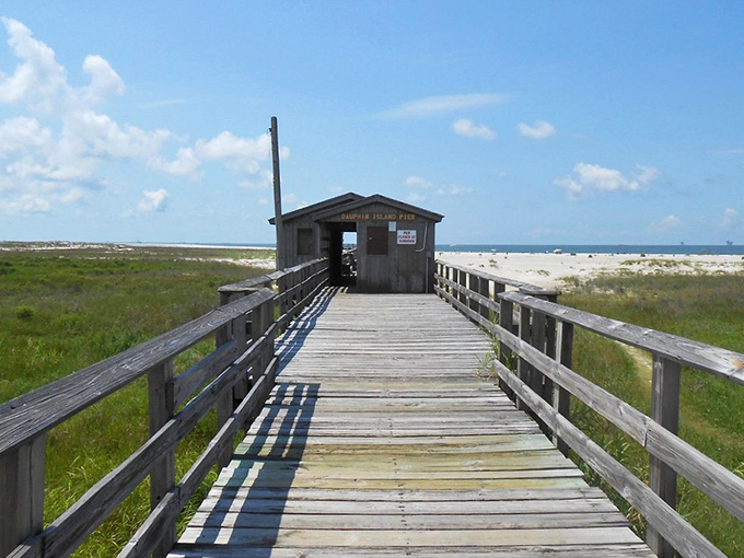 "This way to happiness." The weathered pier beckons across coastal grasslands toward beaches where footprints disappear with each tide.