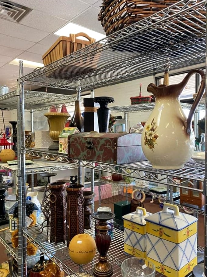 Decorative treasures that whisper "I have excellent taste" without shouting "I paid too much!" Vintage pitchers and boxes await their forever homes.