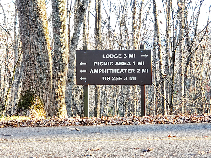 Life's important directions clearly marked. Unlike your GPS, these trail signs won't recalculate when you decide to wander off course.