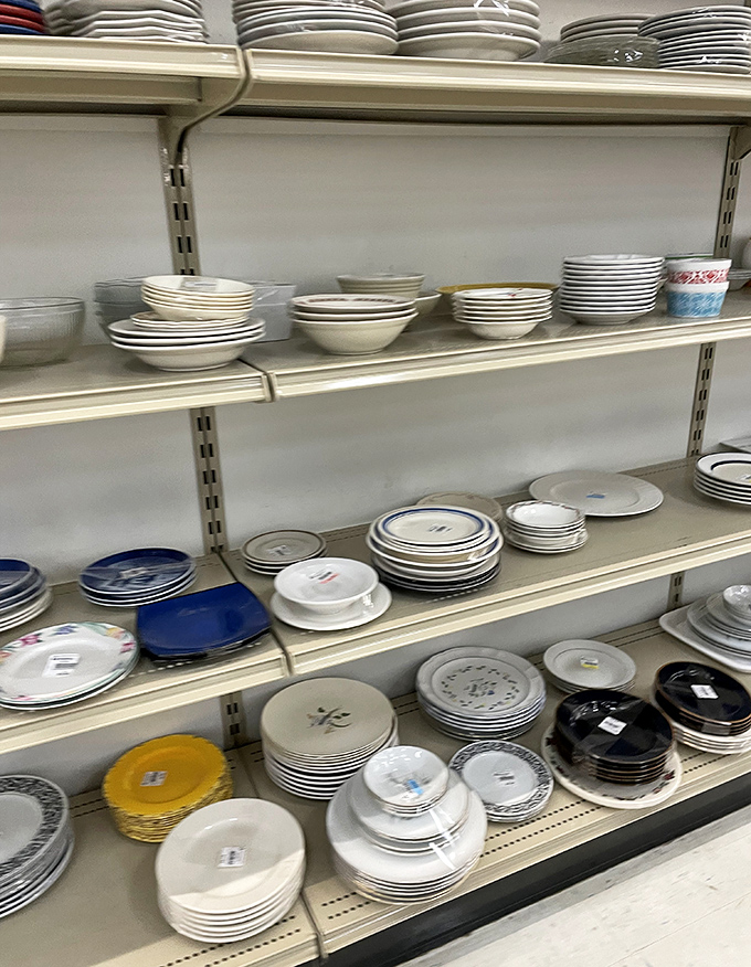 Dish department: where you can finally replace that plate your spouse dropped without admitting you're still keeping score. Patterns from every decade represented!