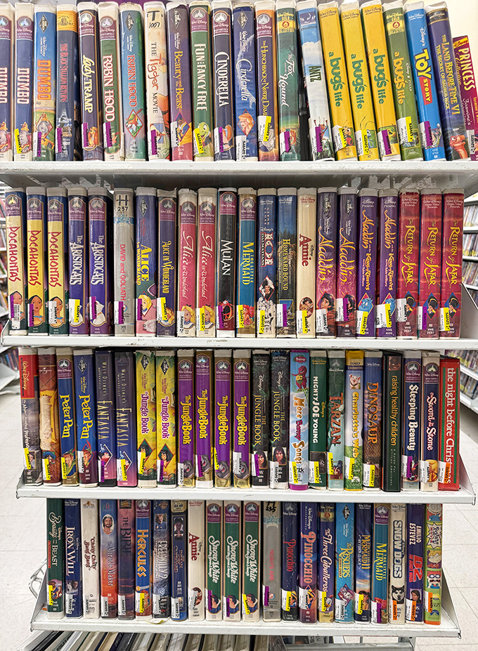 VHS gold mine! Disney classics stand at attention, ready to transport a new generation back to a time before streaming existed.