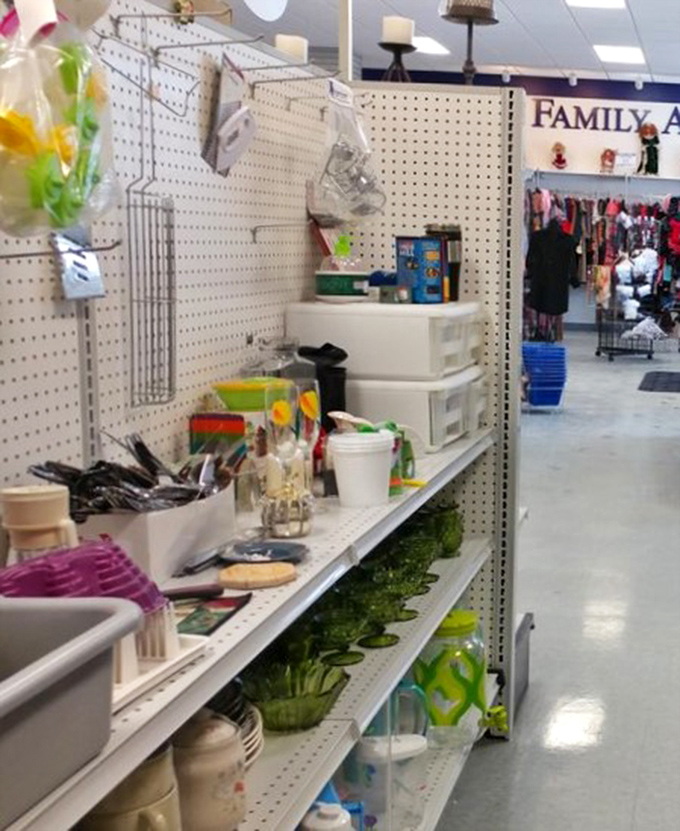 The home goods aisle: where practical meets whimsical. Plant pots, kitchen tools, and unexpected finds create the thrill of the hunt.