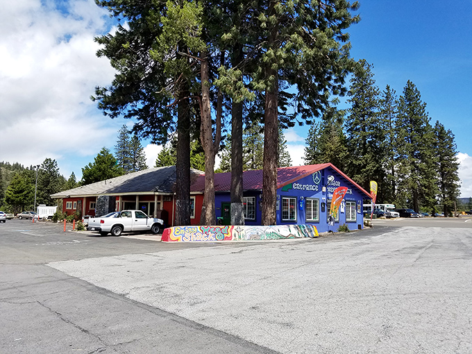 Dos Amigos brings vibrant color to Weed's landscape. The kind of authentic Mexican restaurant where the salsa has personality and the margaritas aren't afraid to show it.