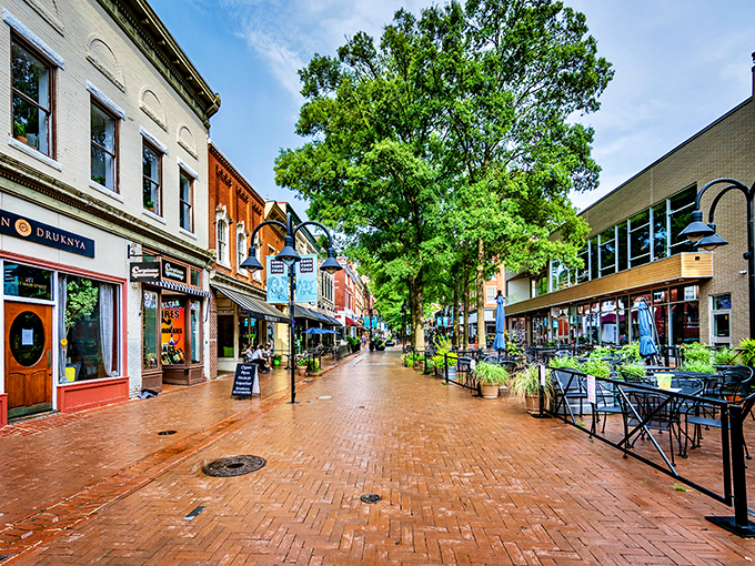 The Downtown Pedestrian Mall after a spring shower &ndash; brick pathways glistening, colorful storefronts popping against the green canopy overhead, inviting you to explore every corner.
