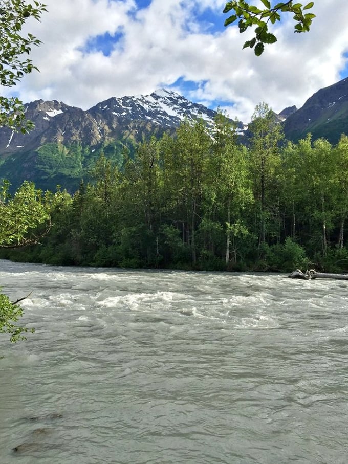 A rushing river carries glacial melt through a verdant valley. Where the mountains' snowcaps become liquid highways rushing toward the sea, no EZ-Pass required.