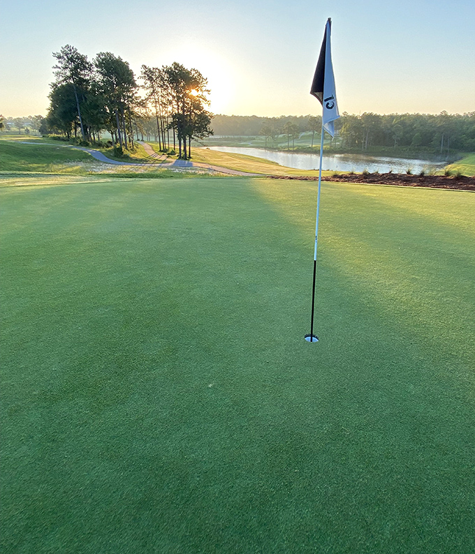 Eagle Springs Golf Course at dawn&mdash;where the early bird gets the worm, and the early golfer gets uninterrupted views and bragging rights.