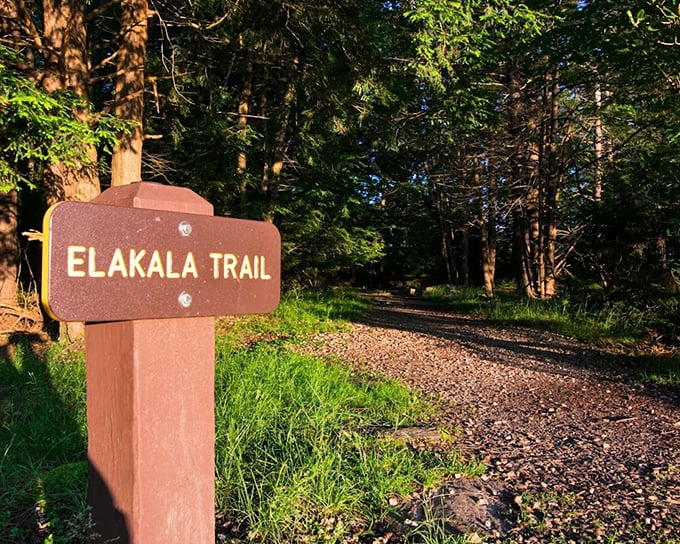 The Elakala Trail sign points the way to one of the park's hidden gems. Follow this path to discover the park's secret waterfall quartet.