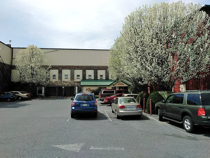 Spring blossoms frame Jubilee's entrance like nature's welcome committee, inviting treasure hunters to begin their quest.