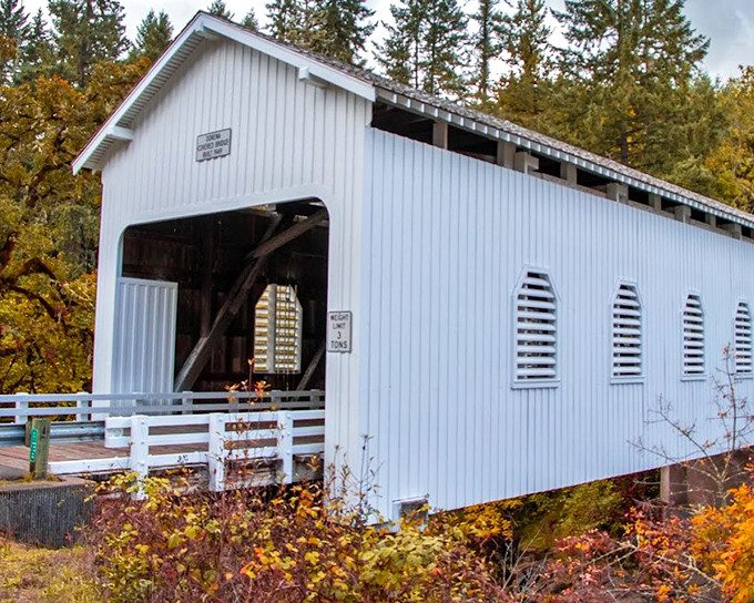 Fall transforms the bridge's surroundings into a painter's palette of amber and gold, nature's way of highlighting one of Oregon's most photogenic landmarks.