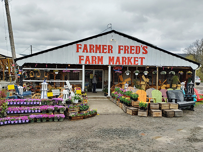 Farmer Fred's isn't just a market – it's a riot of colors and textures that makes grocery shopping feel like a treasure hunt.