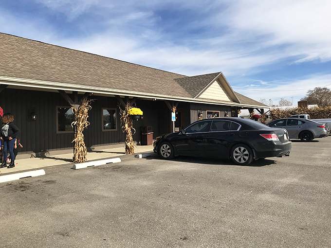 Fashion Farm embraces seasonal charm with corn stalks standing guard, welcoming visitors to autumn's bounty of pumpkins and pies.