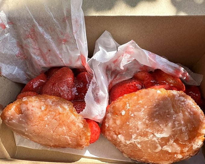 When strawberries meet donuts in this cardboard container, magic happens that makes more sense than most Hollywood movie plots.