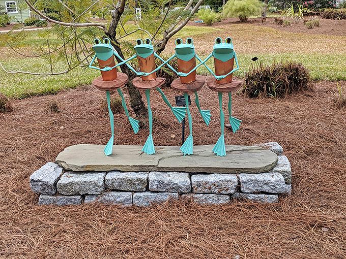 The garden's frog quartet seems poised to break into song, like an amphibian barbershop quartet waiting for their cue.