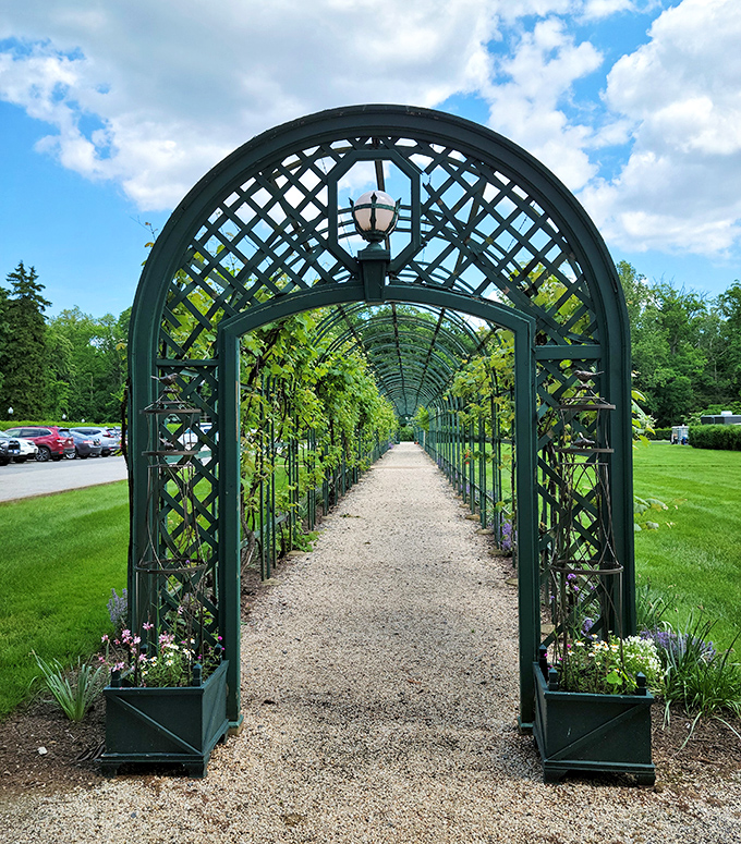 A garden tunnel promising secrets at its end. The perfect setting for both romantic proposals and clandestine meetings about corporate takeovers.