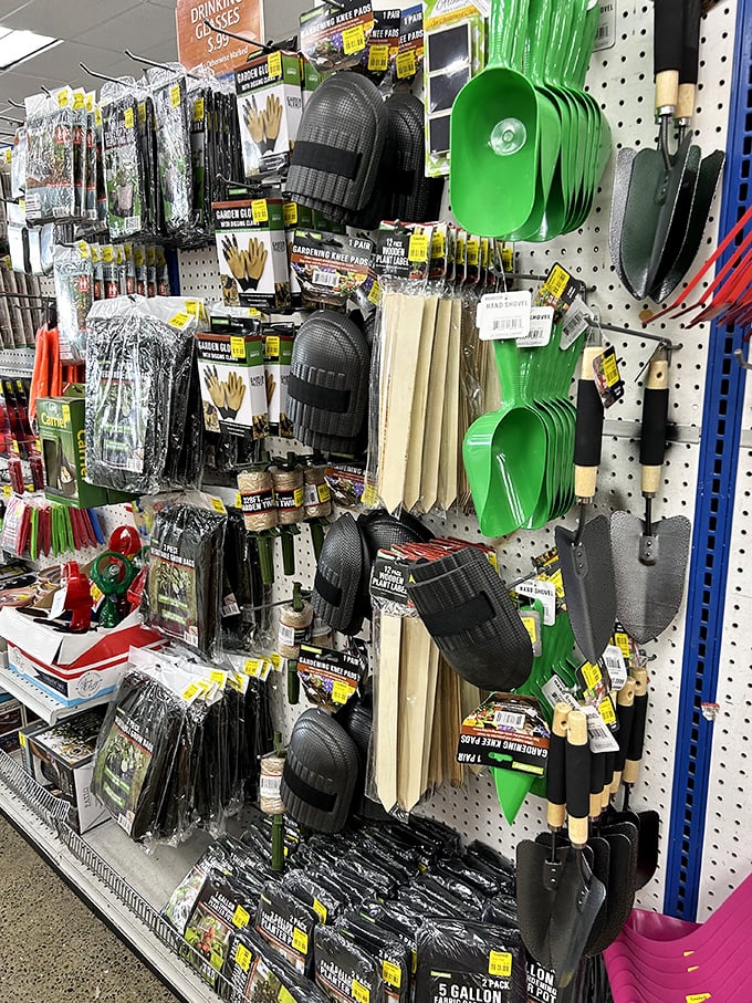 Garden tools hanging like soldiers ready for deployment—spring projects become more affordable when someone else's shed gets cleaned out.