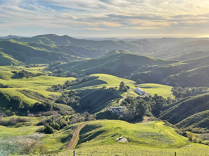 Rolling green hills cascade toward the distant ocean, reminding you why they call this the California of your dreams, not the one on the freeway.