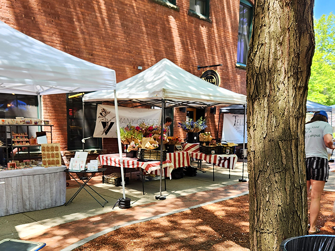 The farmers market spreads its bounty like a proud parent showing off the kids' accomplishments. Every vegetable has a backstory.