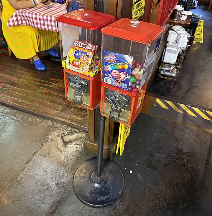 Vintage gumball machines stand guard like colorful sentinels of childhood joy. Because nothing says "complete meal" like finishing your feast with a 25-cent dessert gamble.