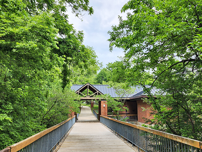 A wooden walkway through lush Missouri greenery&mdash;nature's red carpet leading to discoveries worth more than any Hollywood premiere.