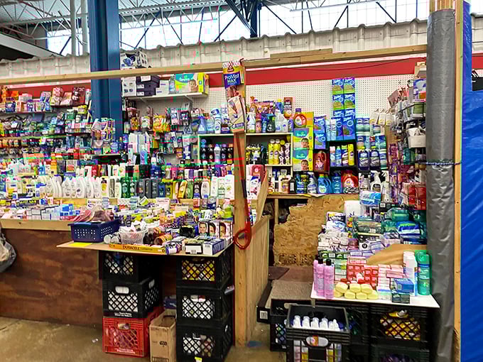 Household essentials arranged with the chaotic precision of a convenience store after an earthquake. From toothpaste to toilet paper, life's necessities at bargain prices.