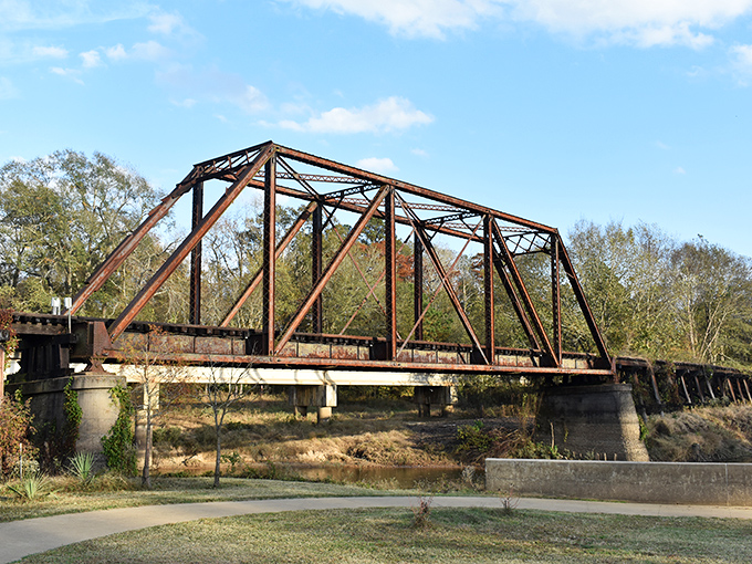 This rusted iron bridge has the weathered dignity of an old boxer &ndash; it's seen things, carried heavy loads, and earned every bit of its patina.