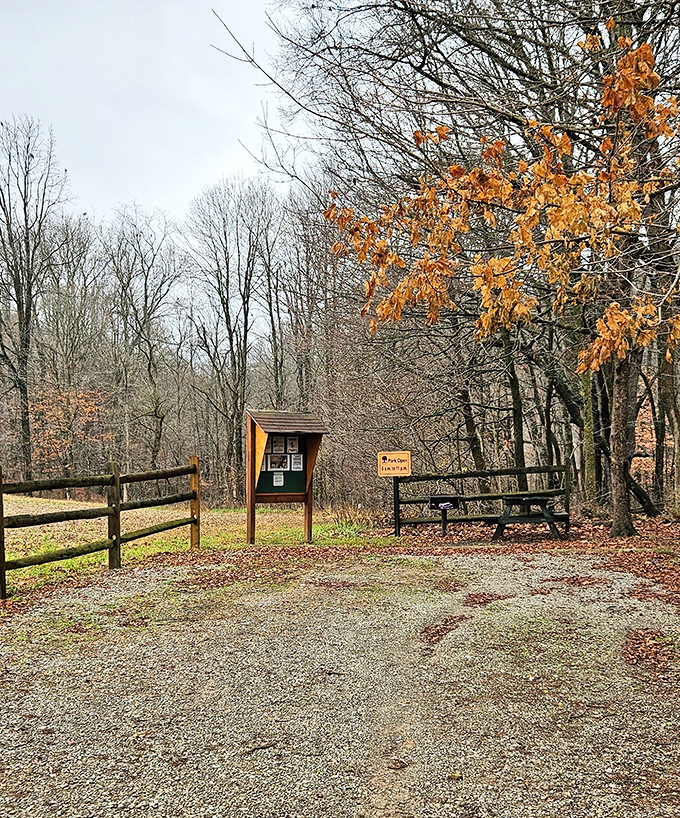 Indianfield Bluffs Park offers quiet contemplation with its rustic bench and trail information. Nature's waiting room, where appointments are always right on time.
