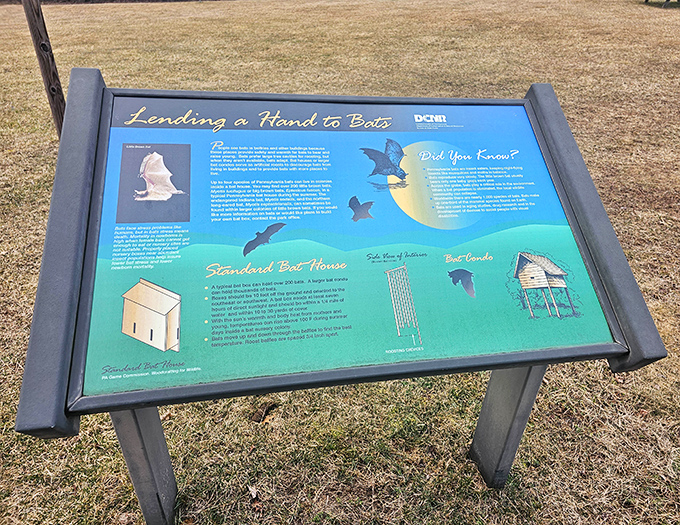 Even bats get the five-star treatment at Nescopeck. This educational display reveals the nighttime heroes we rarely appreciate.