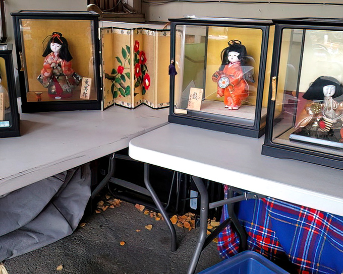 Japanese dolls in display cases stand as elegant ambassadors from another culture, proving Value Village isn't just a store&mdash;it's an international expedition.
