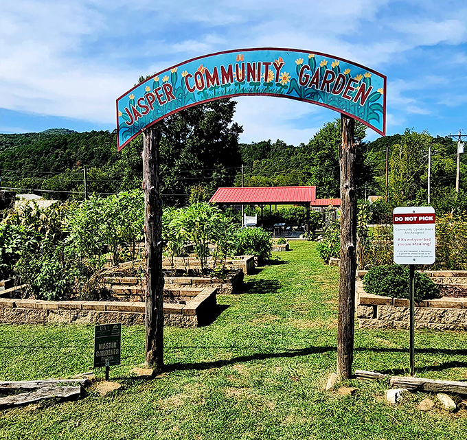 The Community Garden grows more than vegetables – it cultivates the connections that make Jasper special.