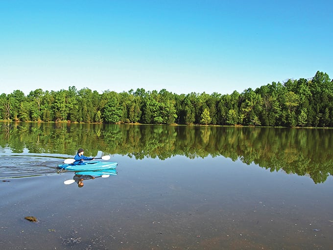 Kayaking on glass-like waters where the forest reflection is so perfect, you might momentarily forget which way is up.