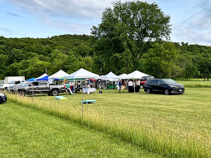 Kent's Farmer's Market transforms an ordinary field into a community celebration where the vegetables are fresher than most people's small talk.