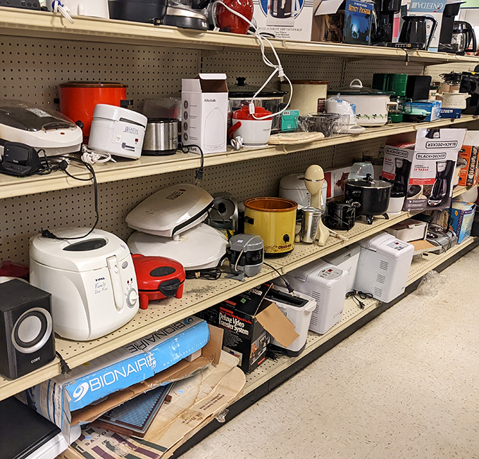 Small kitchen appliances that promise to revolutionize your cooking game for pocket change prices.