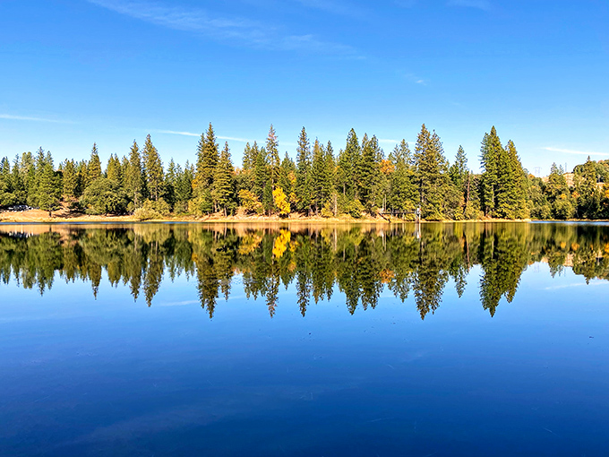 Lake Tabeaud's mirror-like surface perfectly reflects the surrounding pines, doubling the beauty without doubling your property taxes.