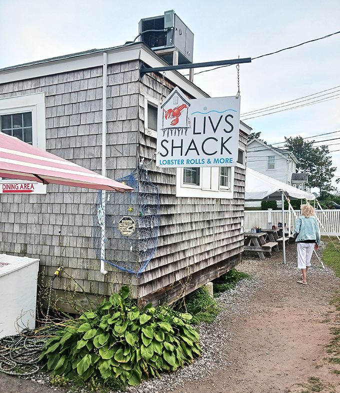 Liv's Shack proves the best lobster rolls come from humble buildings with weathered shingles. No white tablecloths required when the seafood is this fresh.