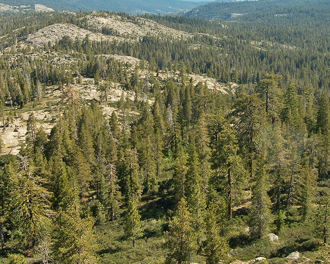 The Sierra's patchwork quilt of granite and pine. From this vantage point, you can almost hear John Muir whispering, "I told you so."