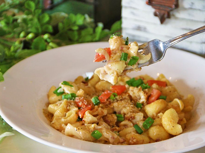 Mac and cheese elevated to an art form, where each spiral cradles just the right amount of cheese sauce, proving comfort food can be sophisticated too.