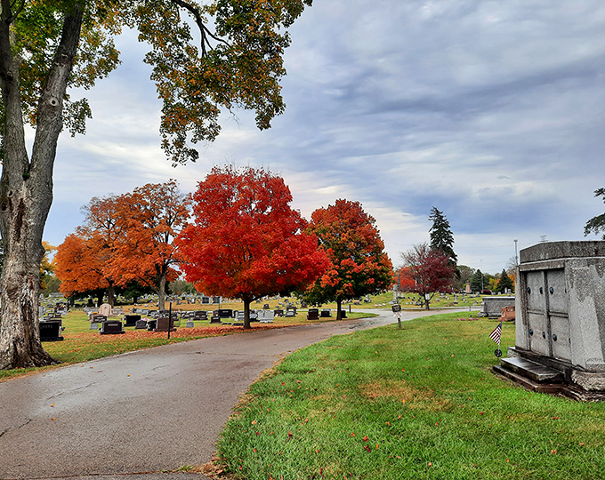 Maple Hill Cemetery's autumn splendor transforms a place of remembrance into a breathtaking canvas of crimson, orange and gold—nature's most beautiful tribute.