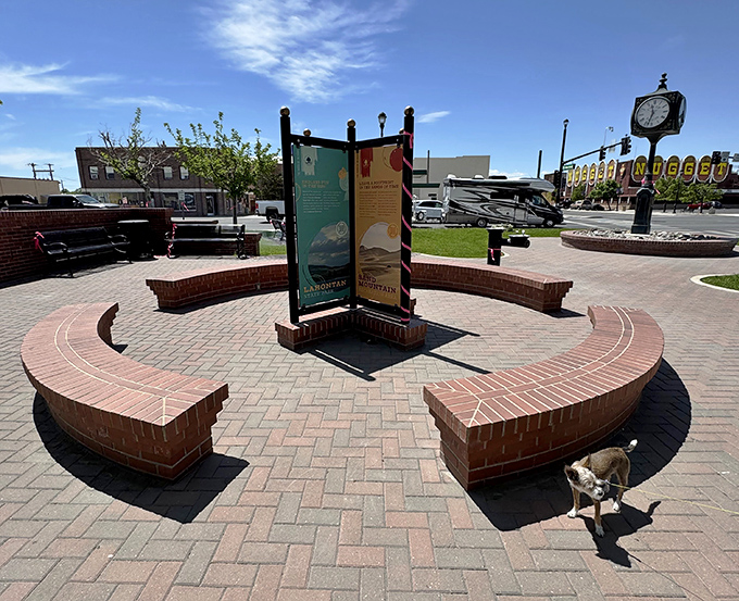 Millennium Park's thoughtful design creates a community gathering space where even the local dogs appreciate the break from Nevada's expansive desert landscape.