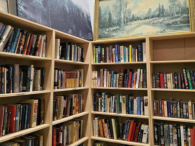 Books create their own library corner, where bestsellers and hidden gems mingle at prices cheaper than greeting cards.