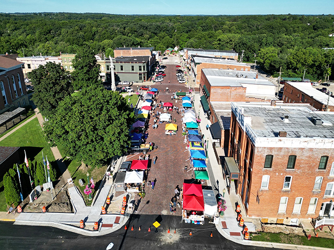 Aerial view reveals Mount Carroll's secret: it's nestled in actual trees, not concrete, making it Illinois's green hidden treasure worth discovering.