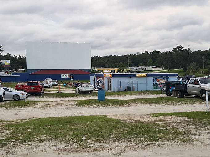 Nature provides the ceiling for this theater where memories are made nightly.