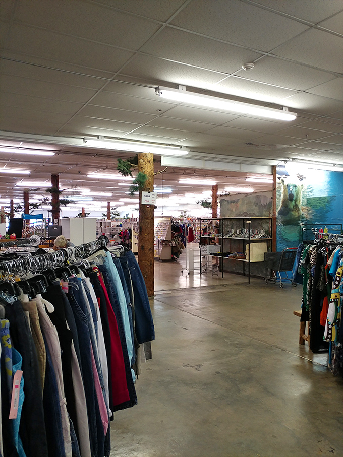 Clothing aisles stretch like fabric highways, organized by size rather than chaos. The store's rustic tree columns remind you you're shopping in the heart of lake country.