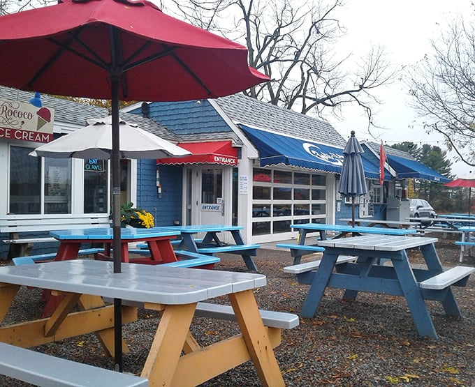 Even the outdoor seating area beckons with colorful tables, proving that great seafood tastes even better when enjoyed in fresh Maine air.