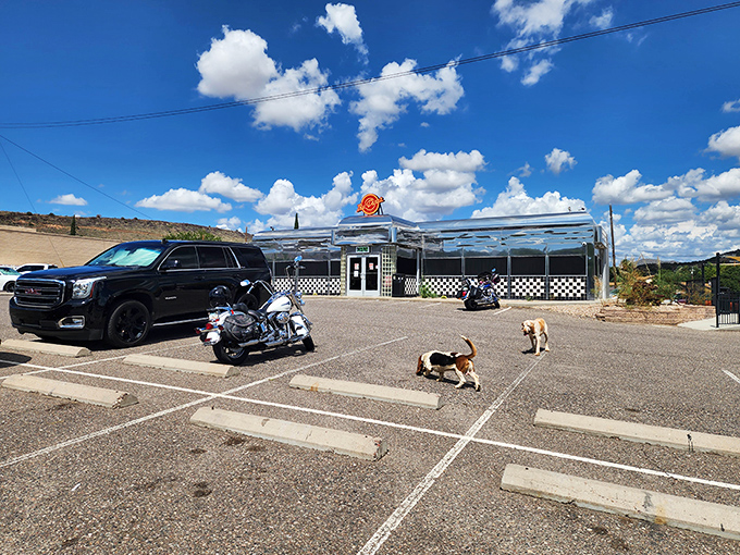 Even the dogs know where the good stuff is &ndash; the diner's exterior gleams like a beacon of hope for road-weary travelers and their four-legged friends.